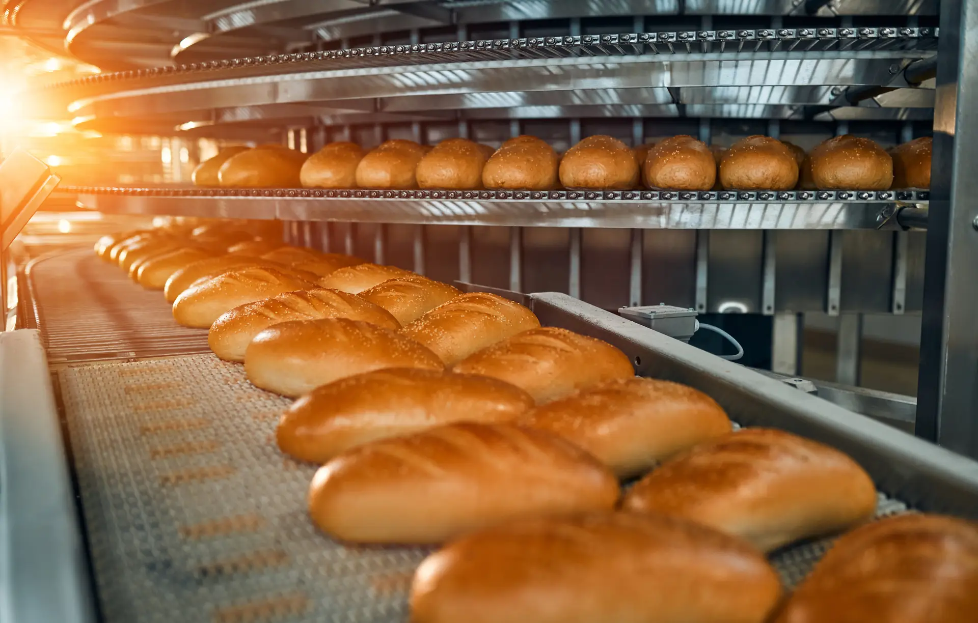 Role vs. Roll – The Art of Grammar